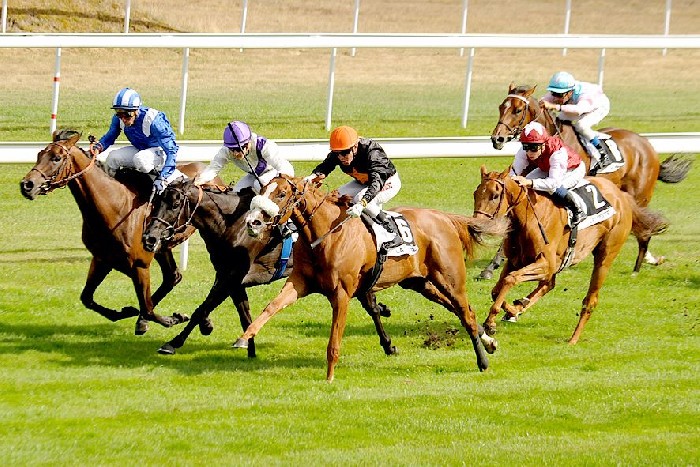 Om mig :: olsen-racing.dk